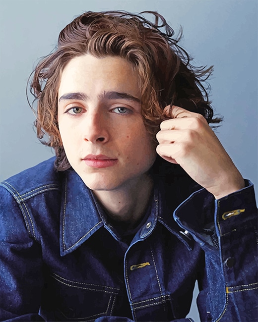 Handsome Timothée Chalamet - Actors Paint By Numbers - Paint by numbers UK