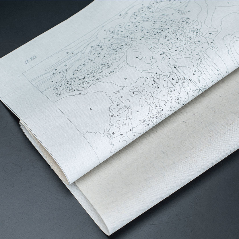 Custom Paint By Numbers for Adults - Paint by numbers UK