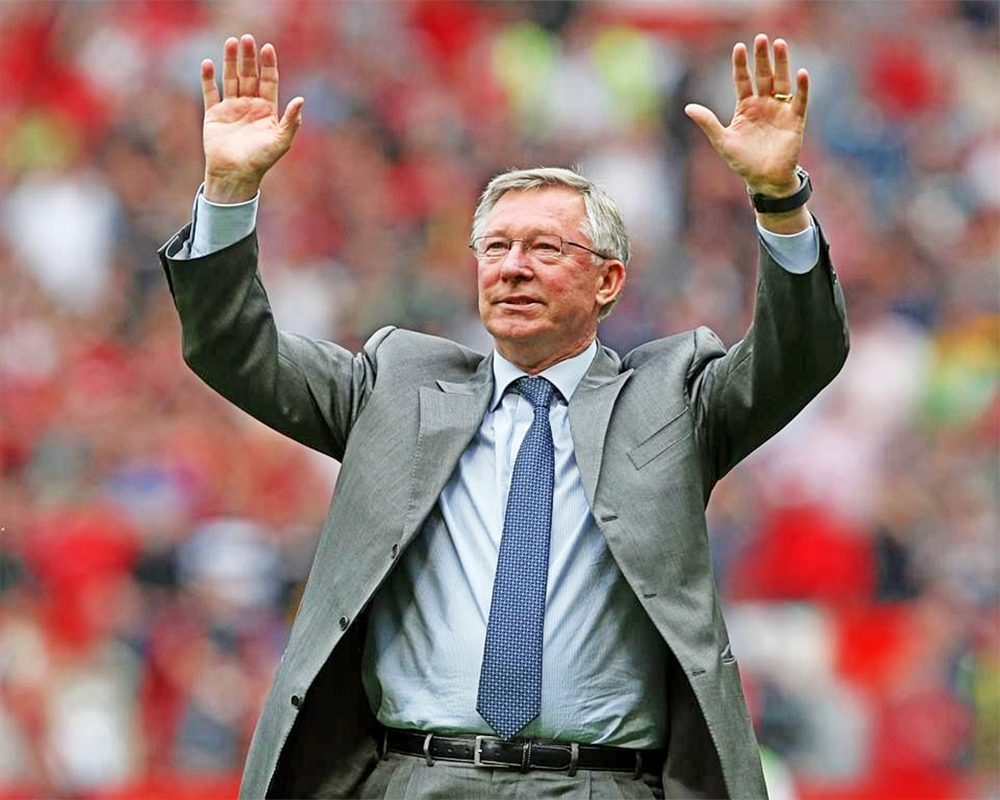 Sir Alexander - Paint By Number - Paint by numbers UK